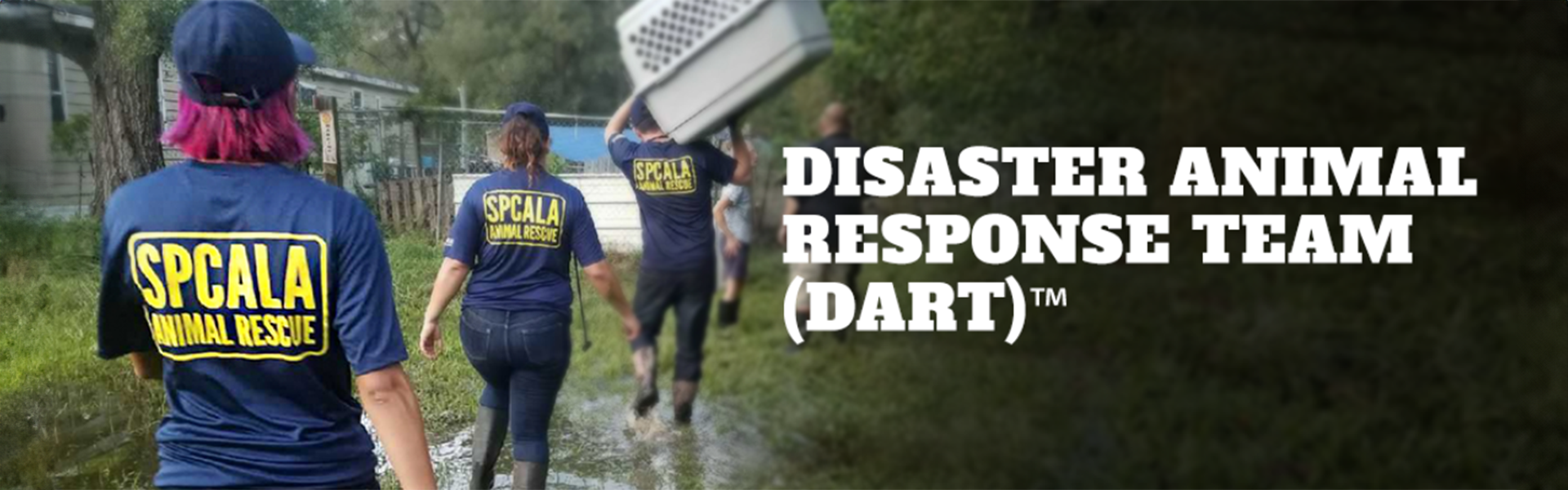 Disaster Animal Response Team (DART)™ – spcaLA