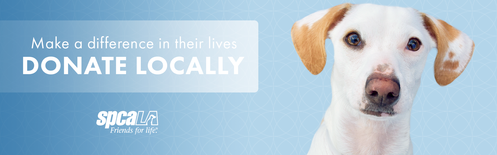 spcaLA – DEDICATED TO THE PREVENTION OF CRUELTY TO ANIMALS SINCE 1877