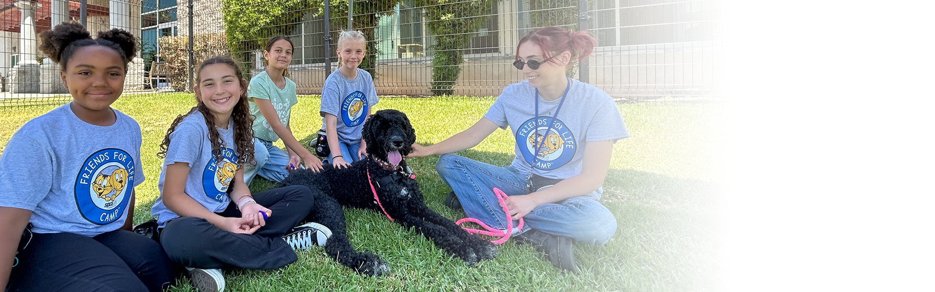 Programs & Services – spcaLA