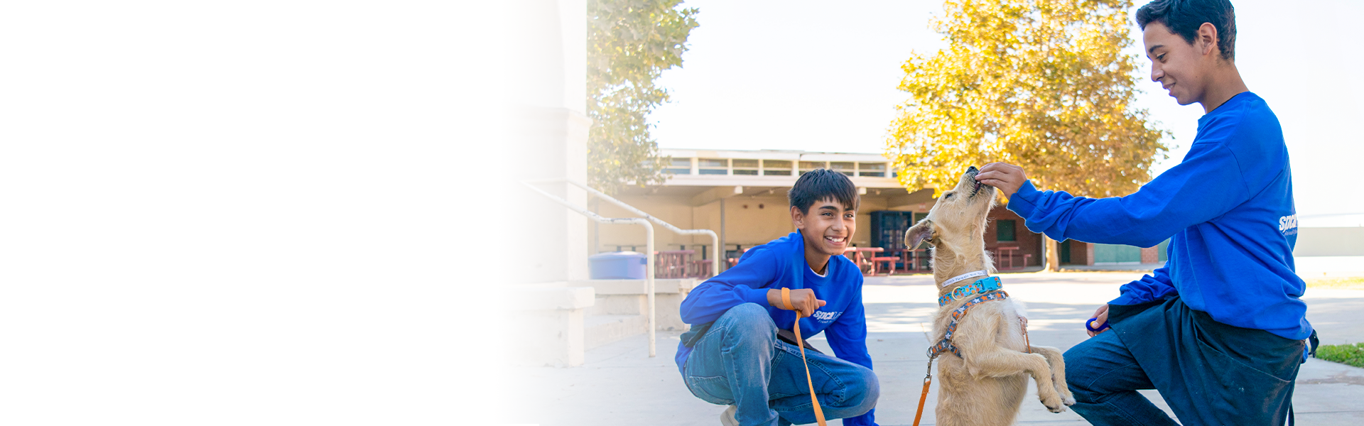 About Violence Prevention Humane Education – spcaLA