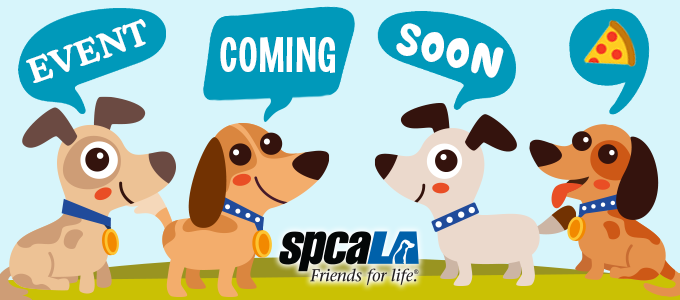 spcaLA – DEDICATED TO THE PREVENTION OF CRUELTY TO ANIMALS SINCE 1877